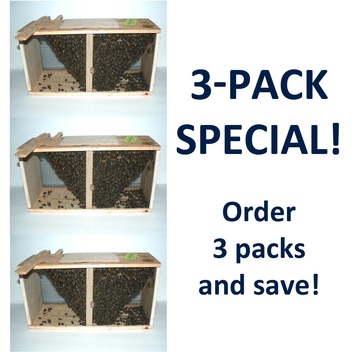 3-PACK SPECIAL of Package Bees – Pigeon Mountain Trading Company