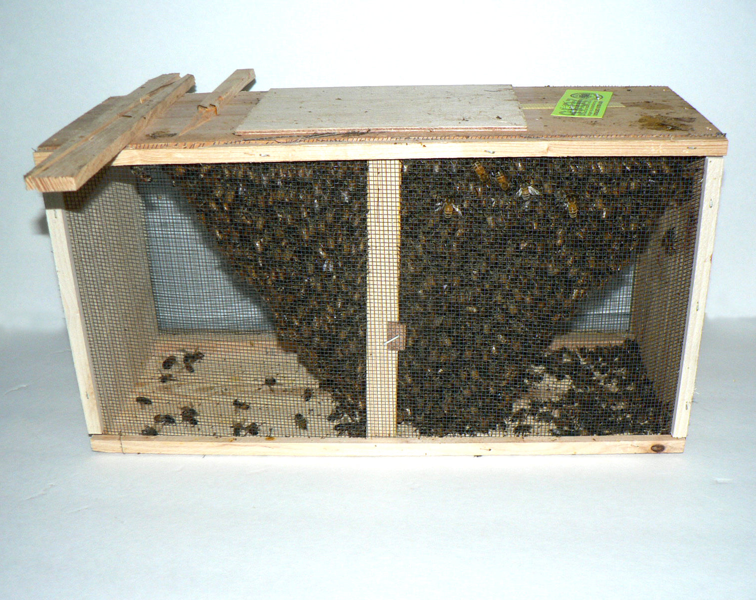 Package Bees – Pigeon Mountain Trading Company